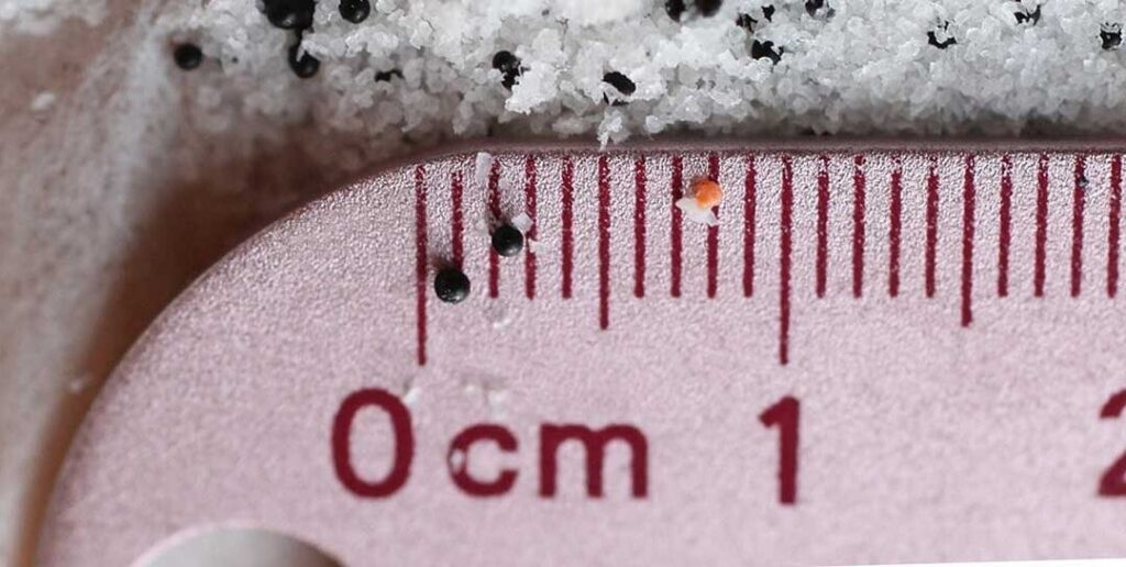 Microplásticos serán detectados gracias a un proyecto de AIMPLAS