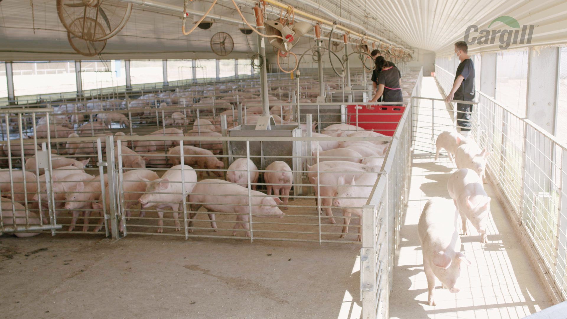 Cargill implementó nuevo centro tecnológico en México