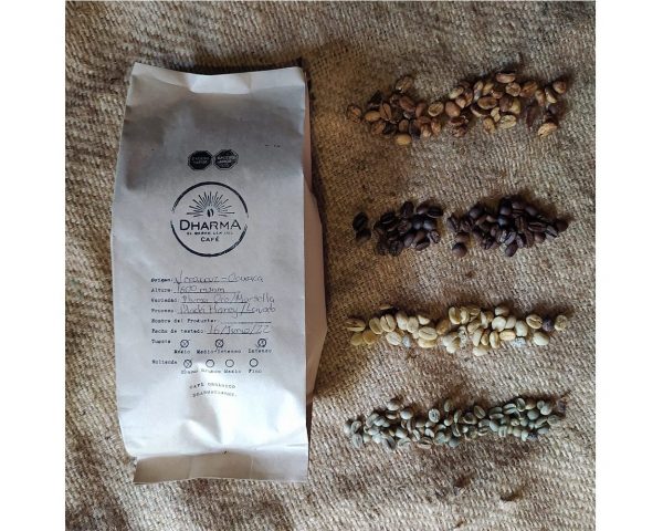 Dharma: café mexicano de gran tradición