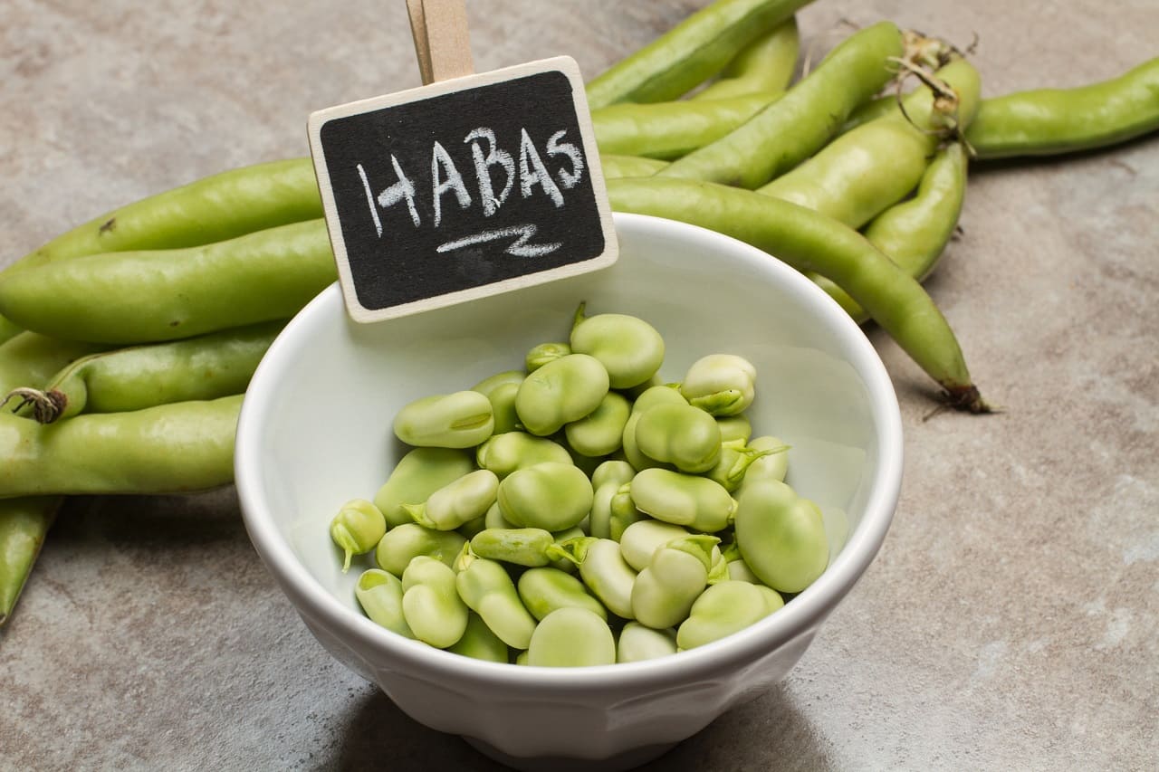 Consumo de habas pretende hábitos más saludables