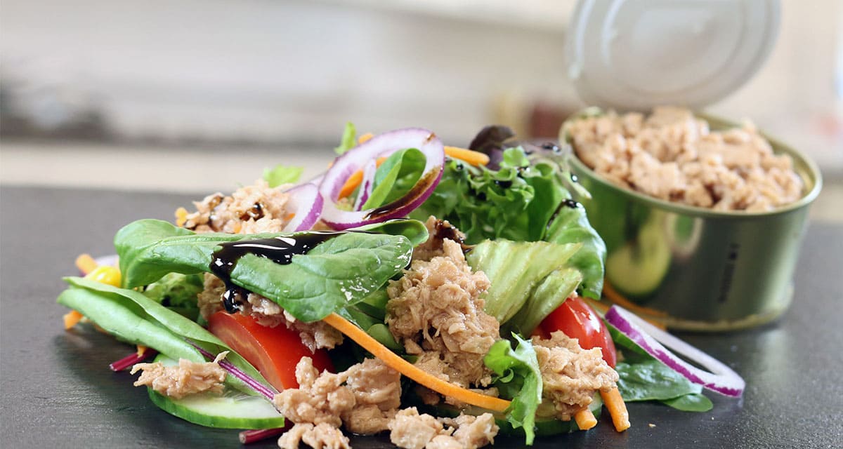 Descubre el último atún vegano en lata